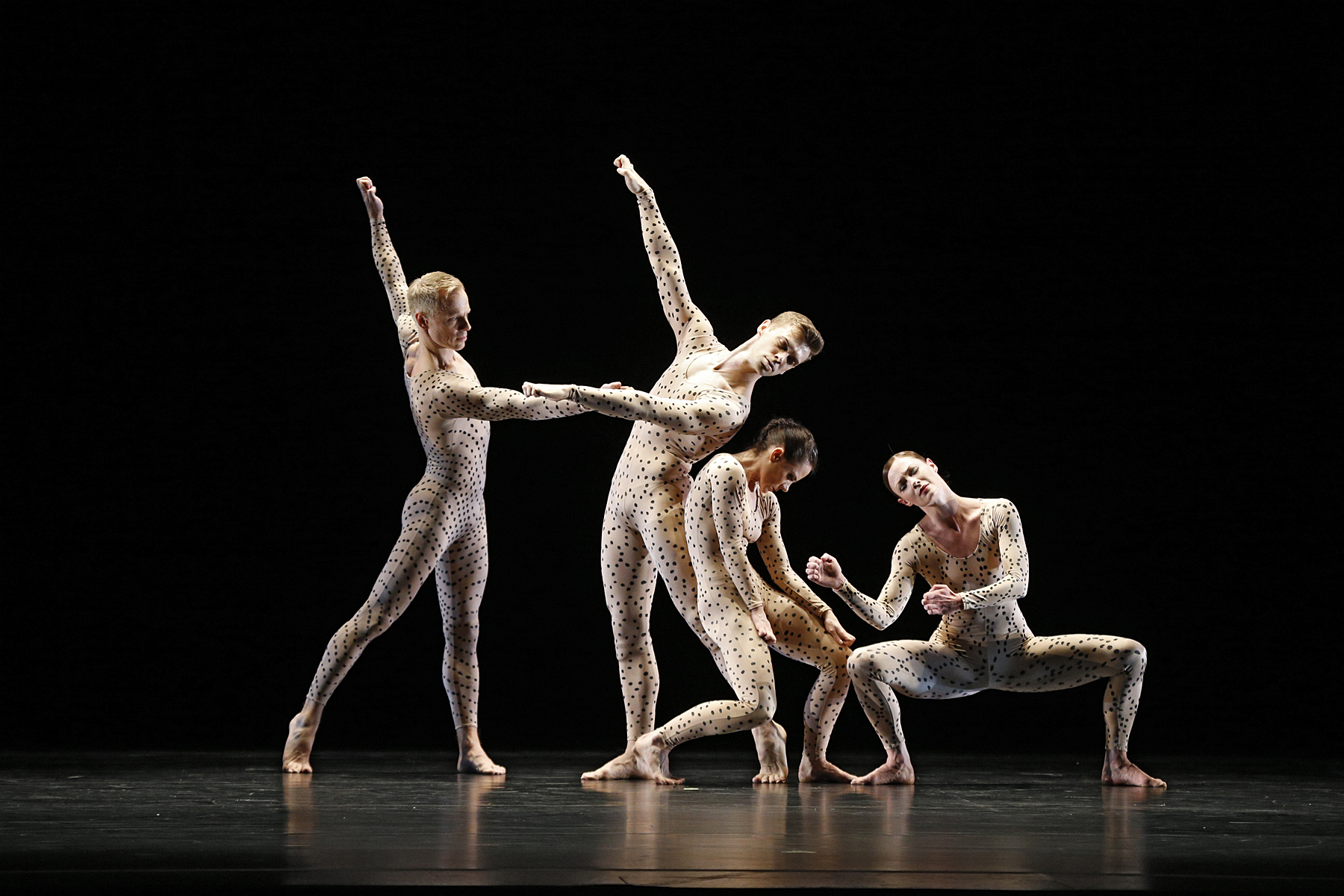 CORPORATE SUPPORT - Paul Taylor Dance Company